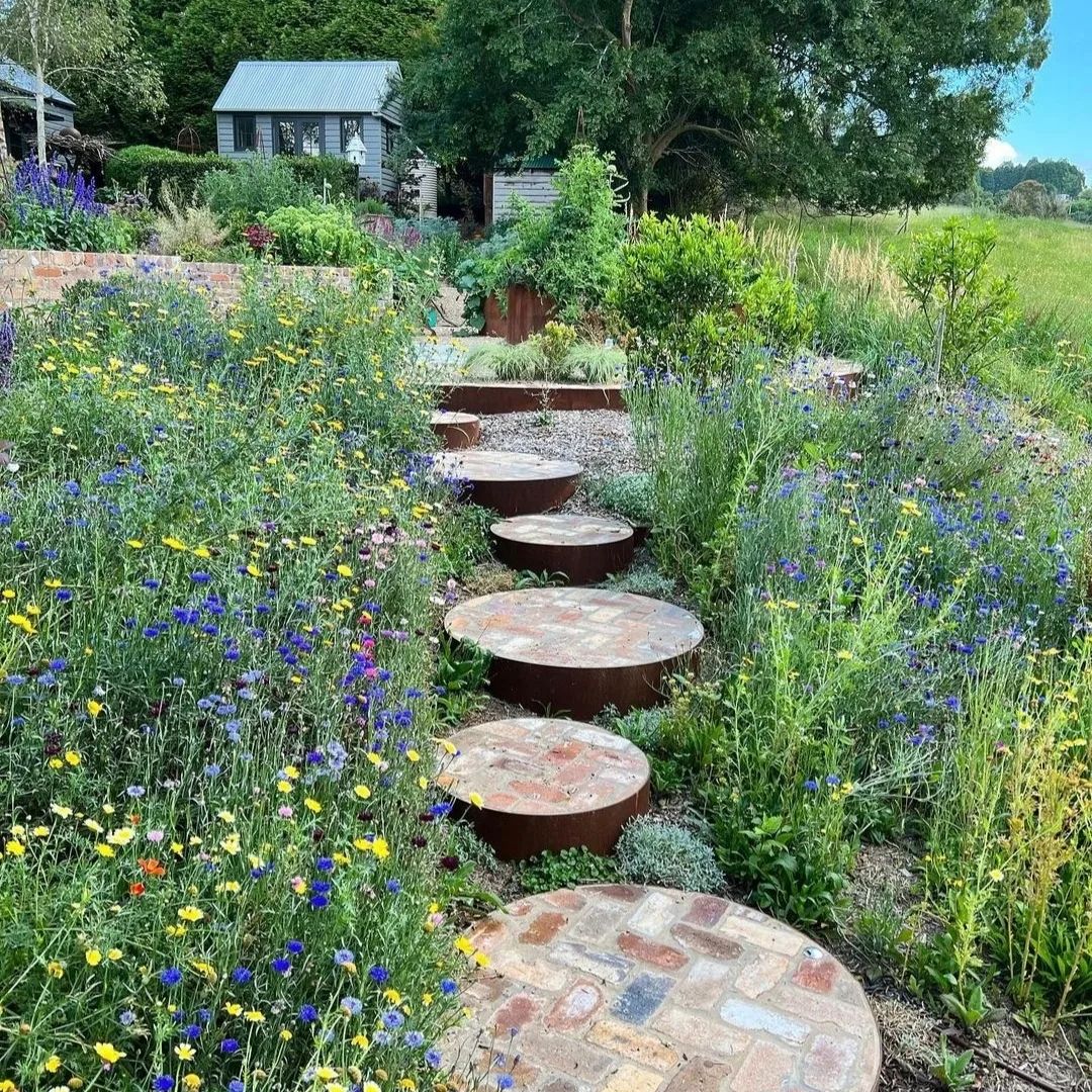 Flower Seed Mixes | Flower Seeds | Meadow Flowers Australia