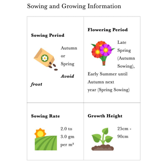 Monet Mini Colour Wildflower Seeds | Meadow Flowers Australia